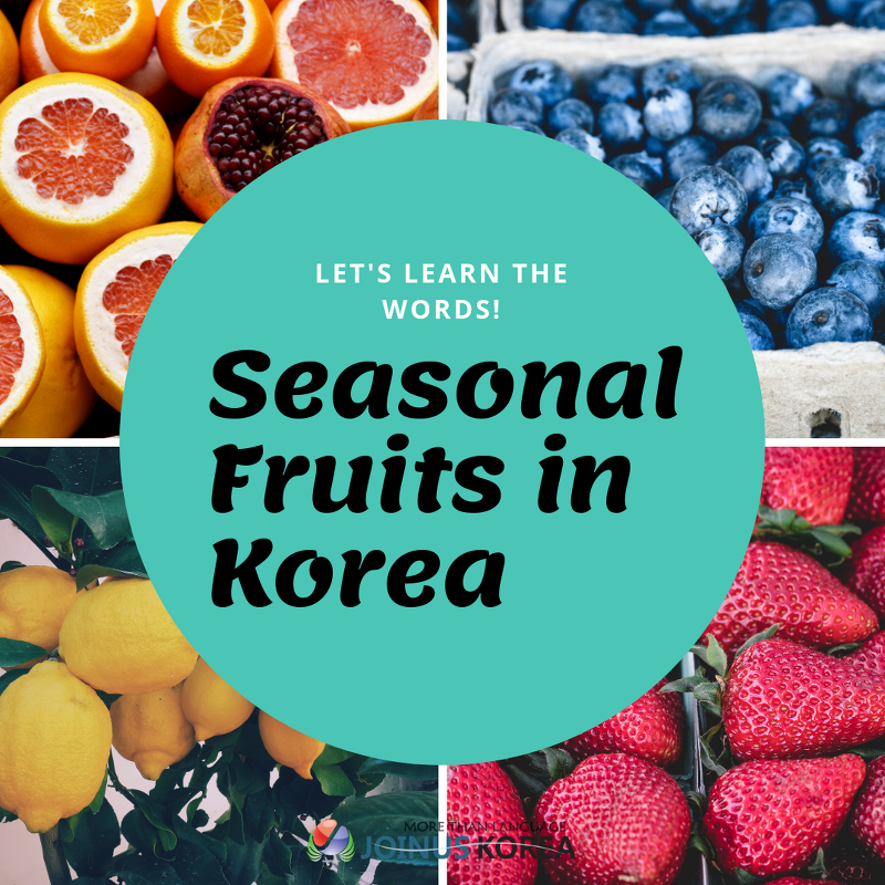 [Korean Vocabulary] Seasonal Fruits in Korea | JOINUS WORLD