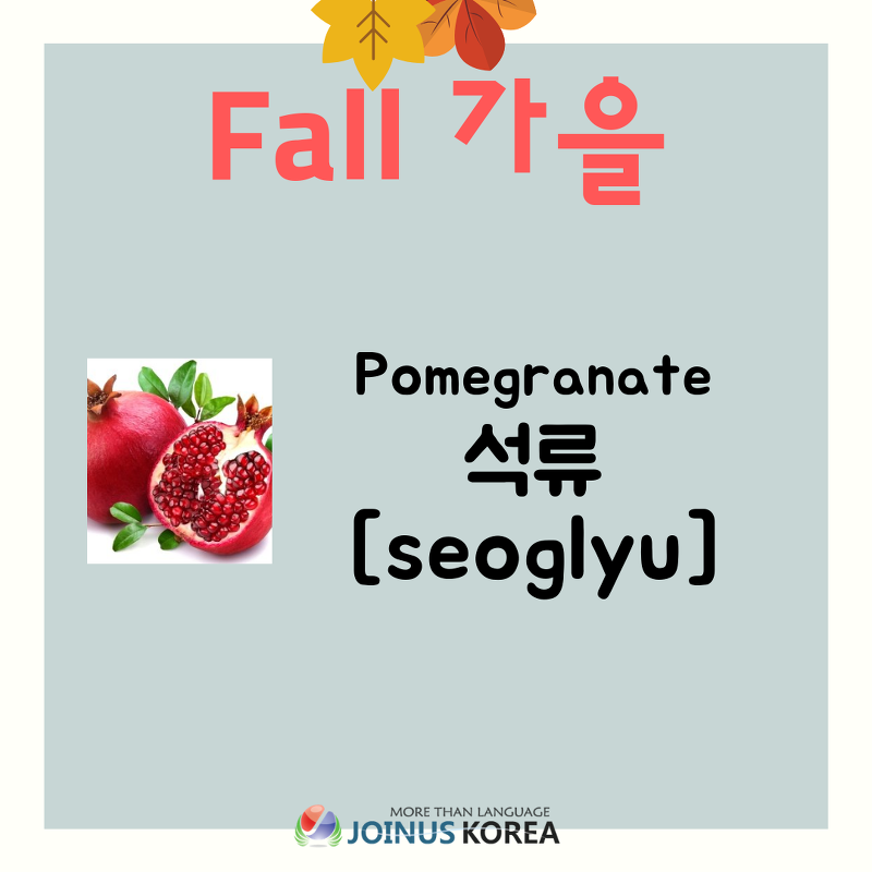 [Korean Vocabulary] Seasonal Fruits in Korea | JOINUS WORLD
