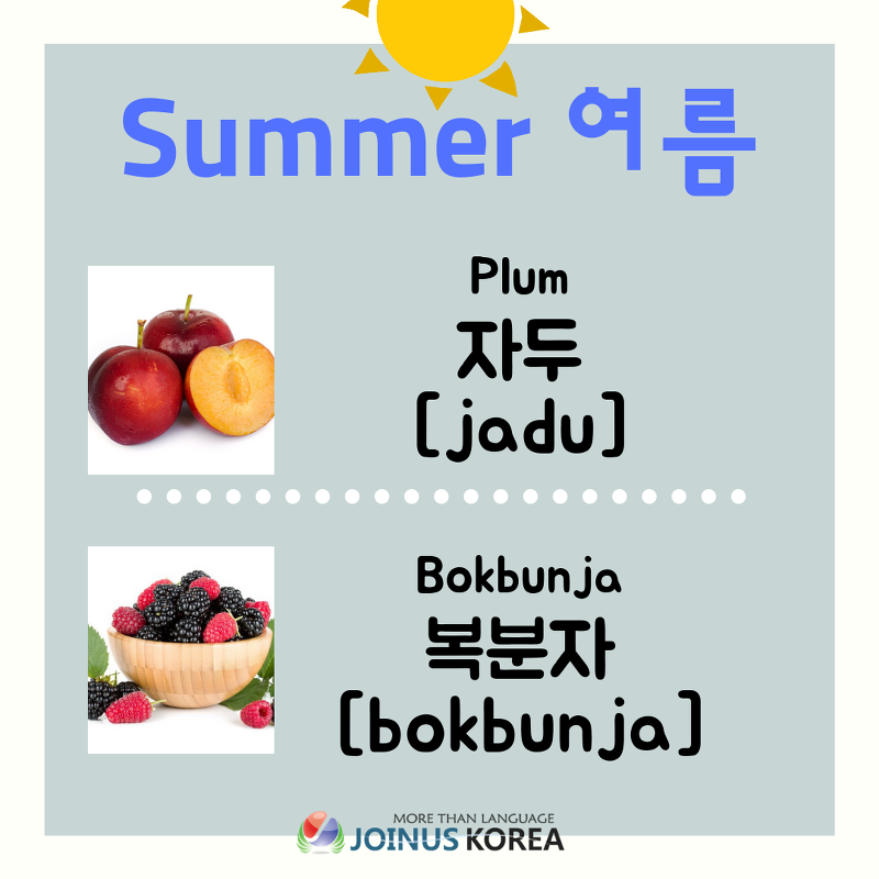 [Korean Vocabulary] Seasonal Fruits in Korea | JOINUS WORLD
