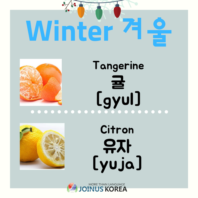 [Korean Vocabulary] Seasonal Fruits in Korea | JOINUS WORLD